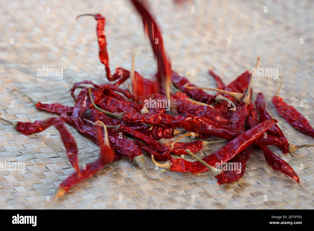 Indian woman hand powdering Indian spices Red chilly , chili paprika ...