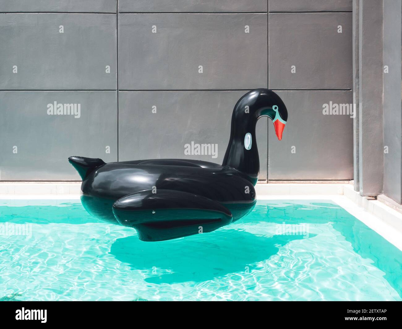 Water donut hi-res stock photography and images - Alamy