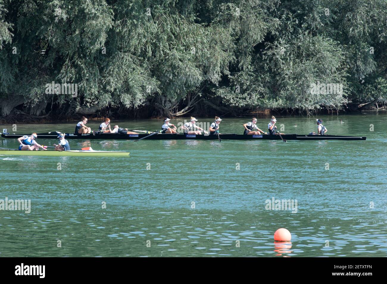 Molly goodman hi-res stock photography and images - Alamy