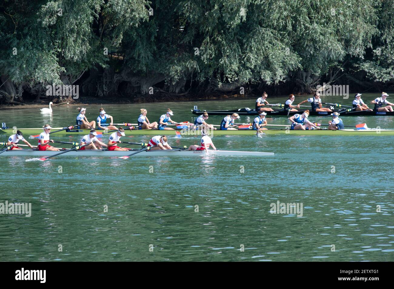 Molly goodman hi-res stock photography and images - Alamy