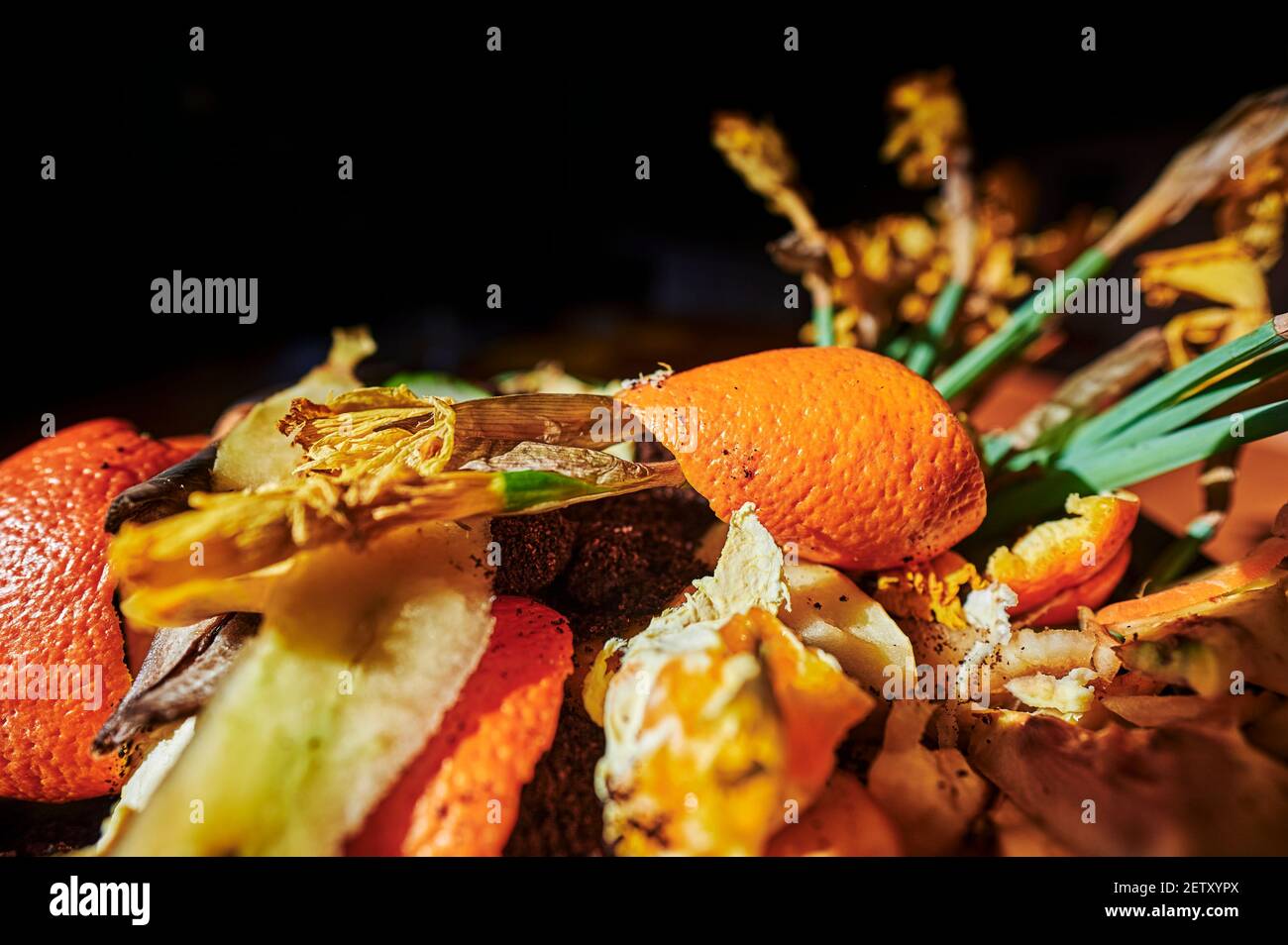 View into a bio container with various organic wastes for recycling ...