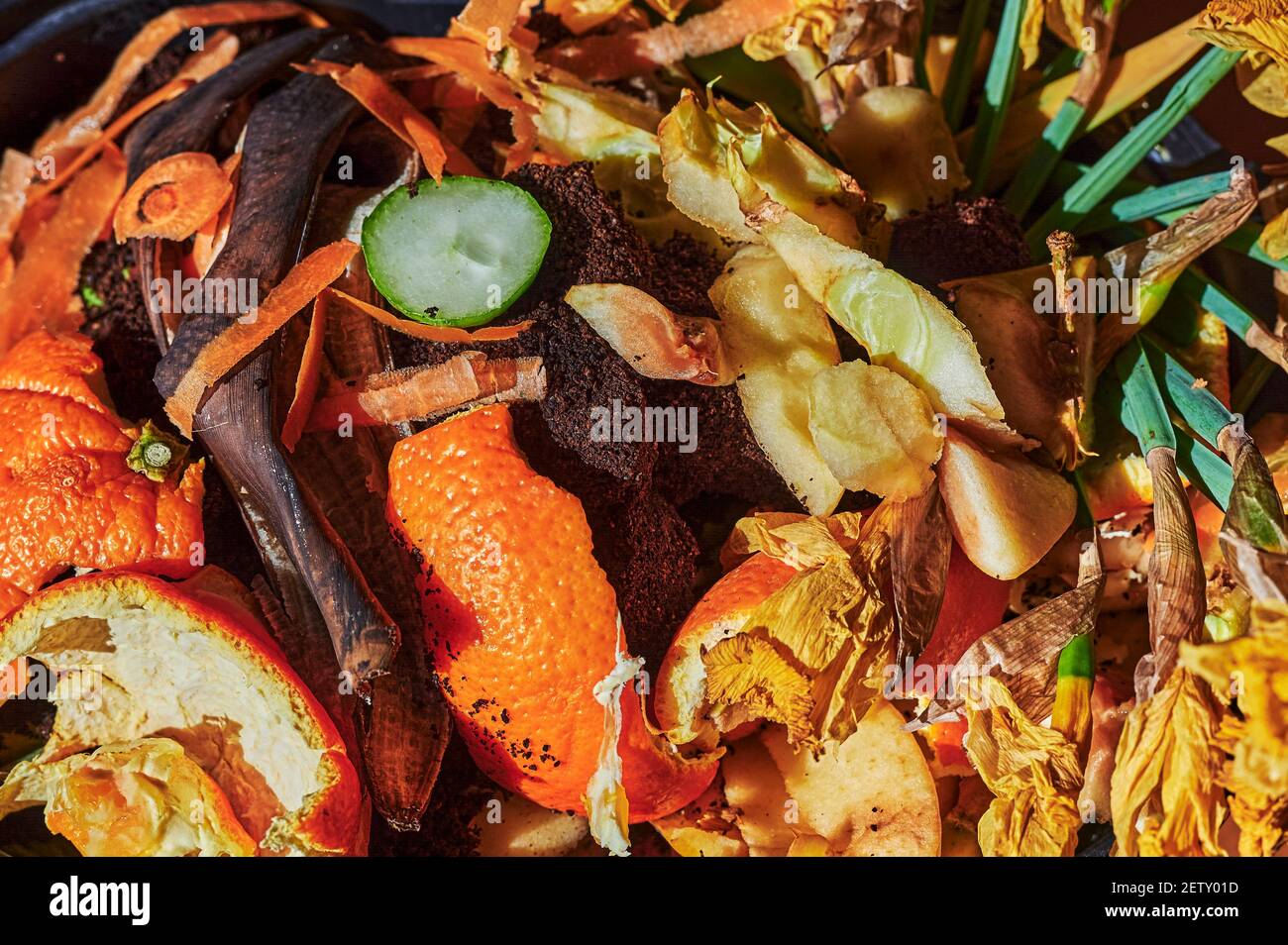 View into a bio container with various organic wastes for recycling ...