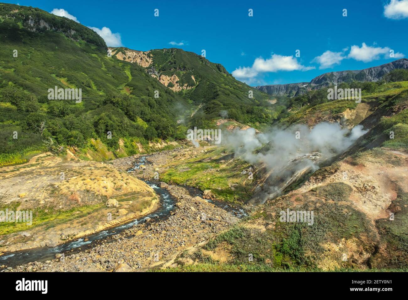 Hot springs and fumaroles in Valley of Geysers Stock Photo - Alamy