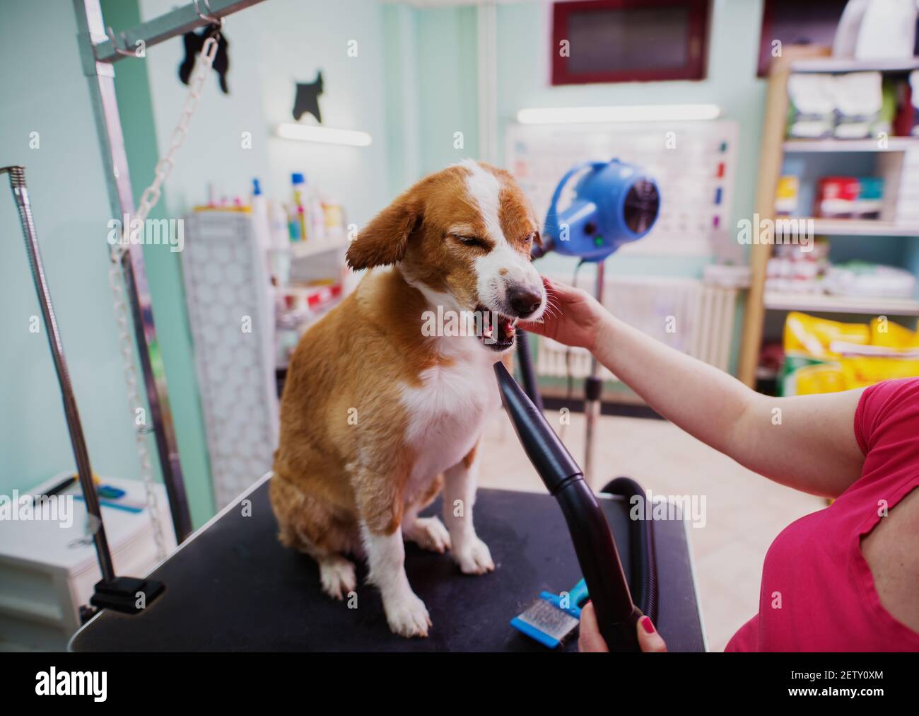 Bite wash hi-res stock photography and images - Alamy