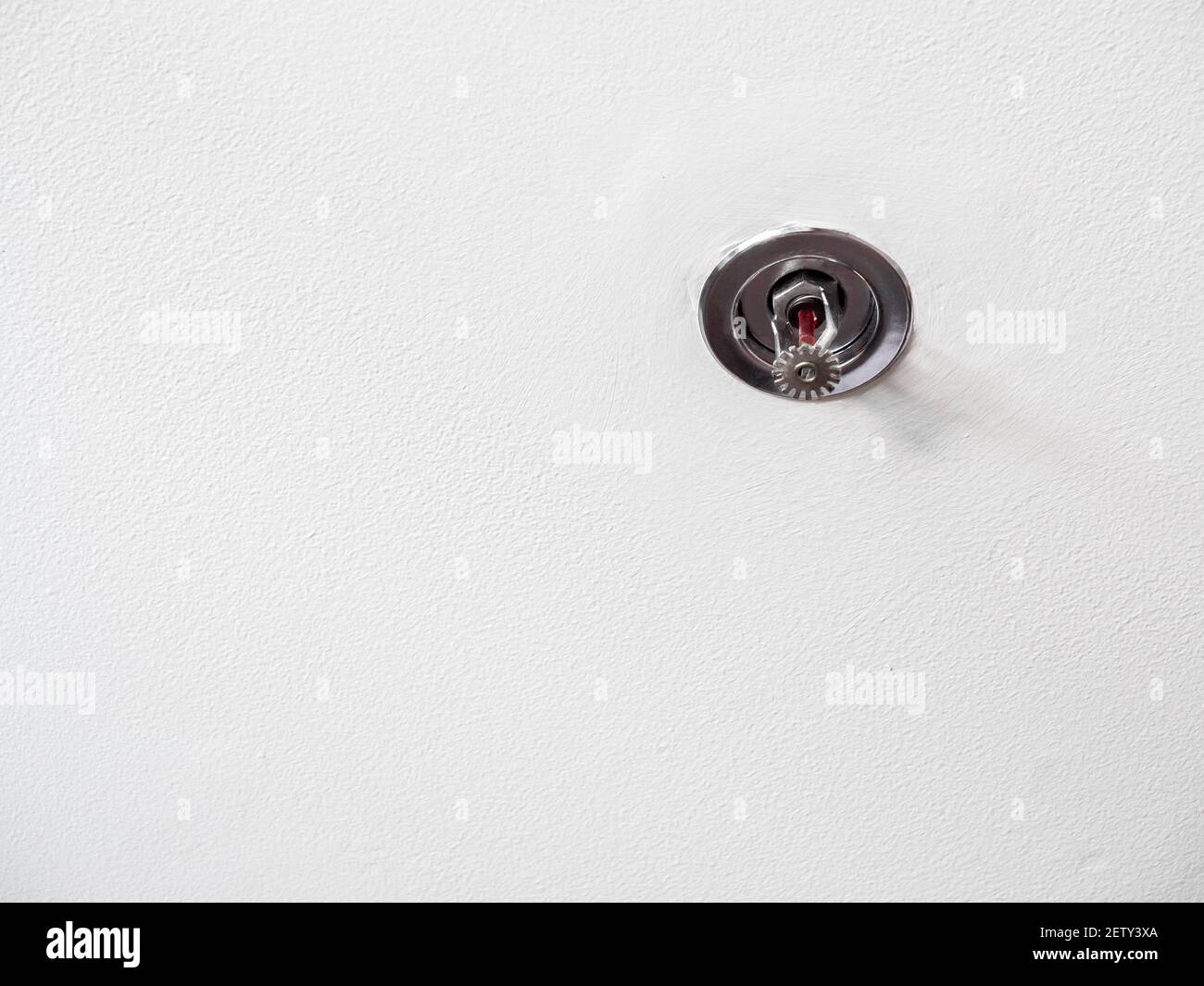 Automatic fire sprinkler mounted on white ceiling with copy space. Fire ...