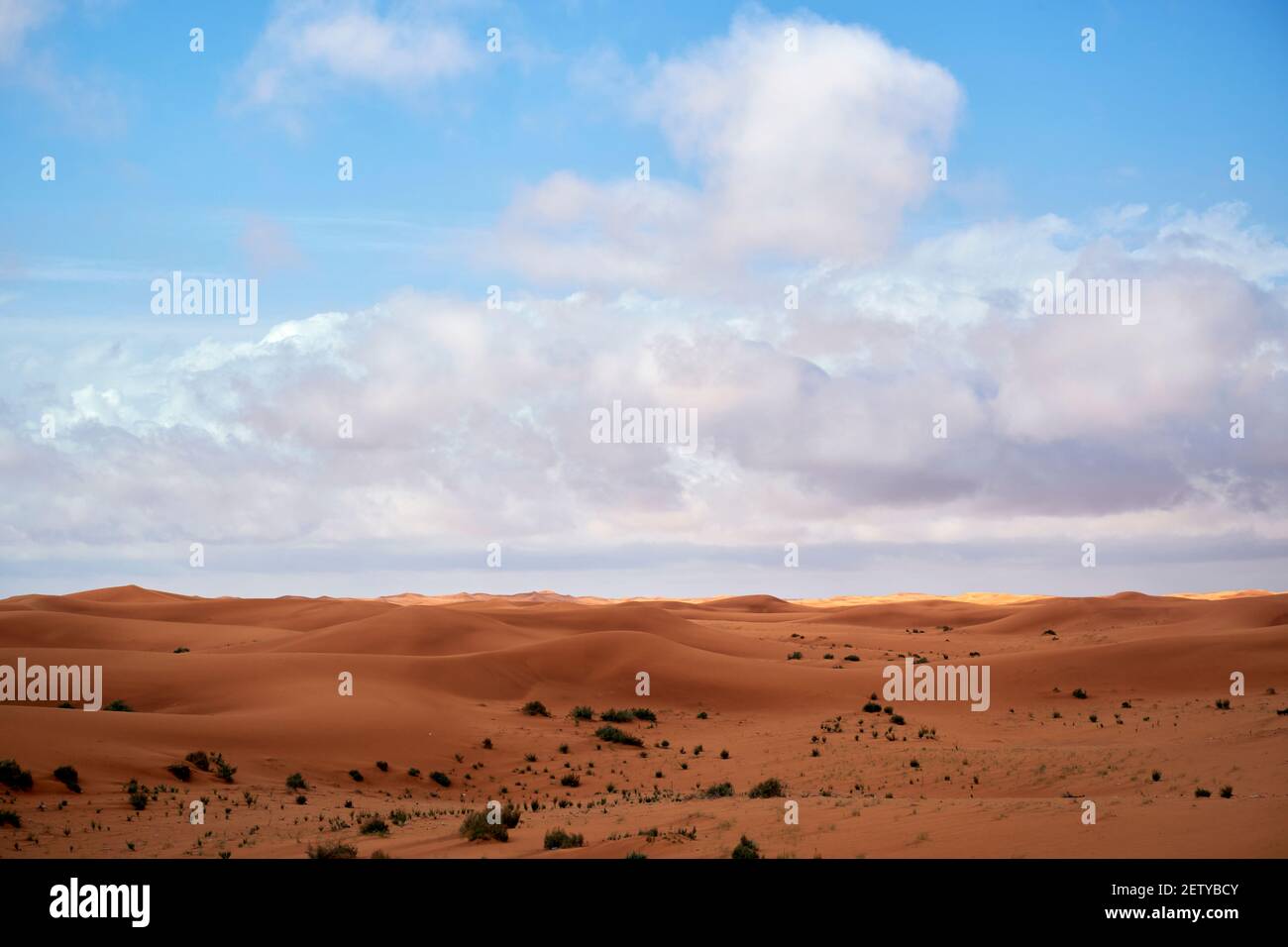 Saudi arabia hot hi-res stock photography and images - Alamy