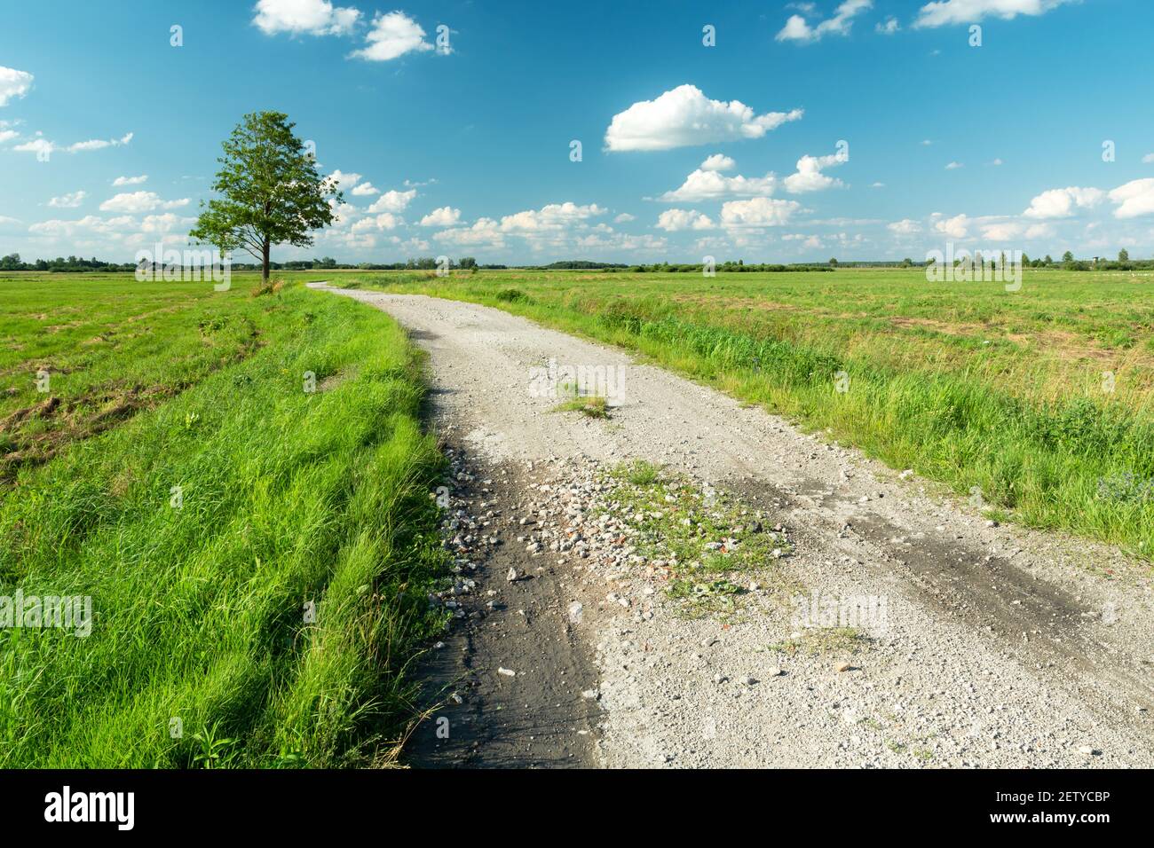 Tree horizon hi-res stock photography and images - Alamy