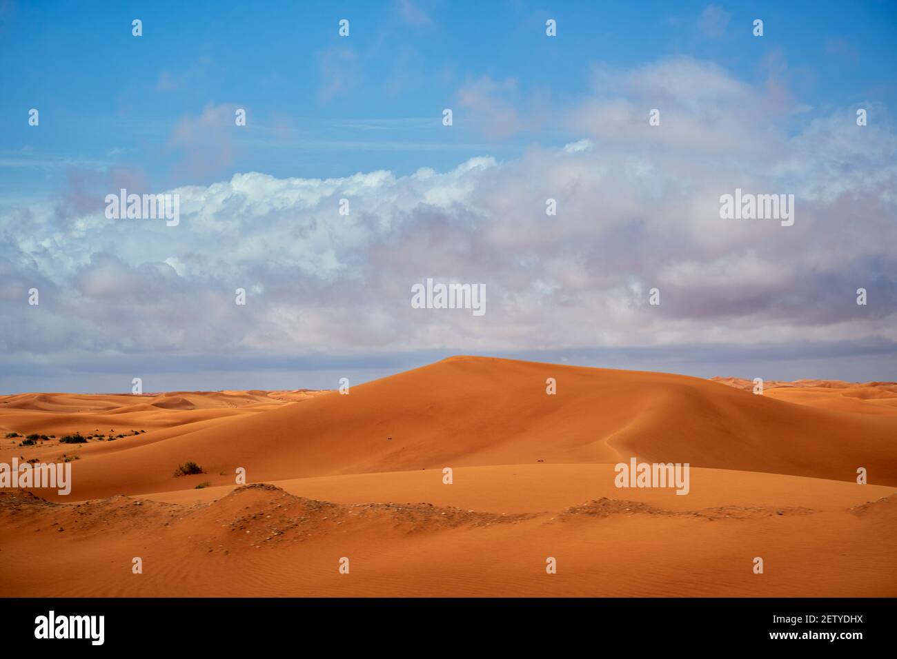 Saudi arabia desert hi-res stock photography and images - Alamy