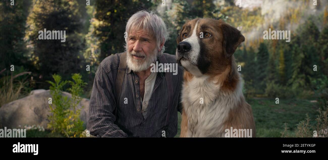 Dave Call Of The Wild