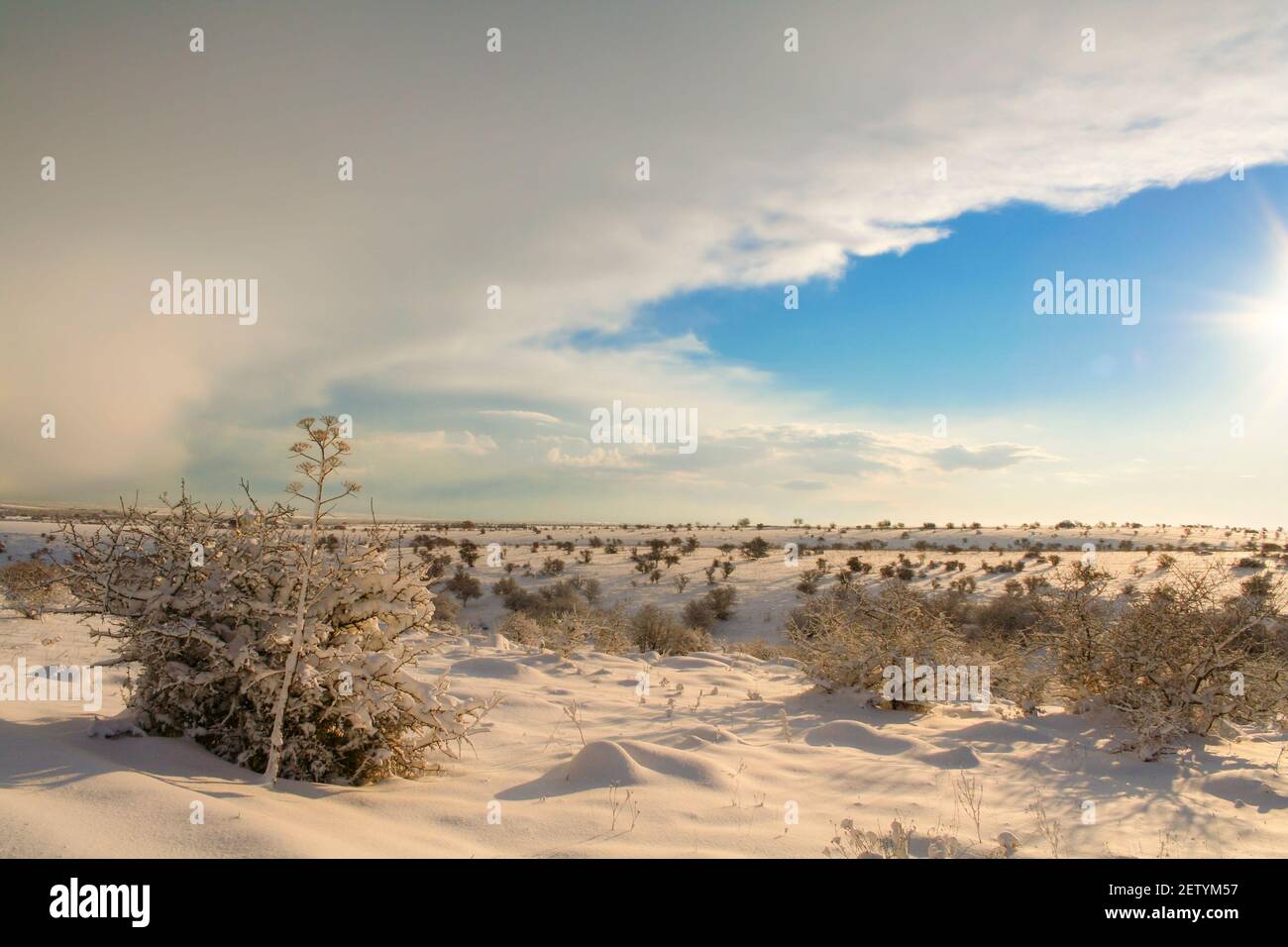 Alta murgia national park hi-res stock photography and images - Alamy