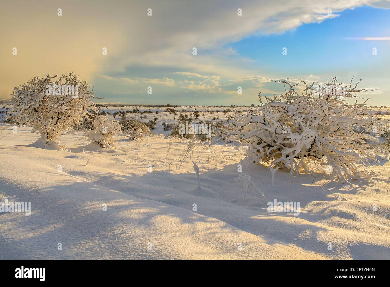 RURAL LANDSCAPE WINTER. Alta Murgia National Park in Apulia, Italy ...