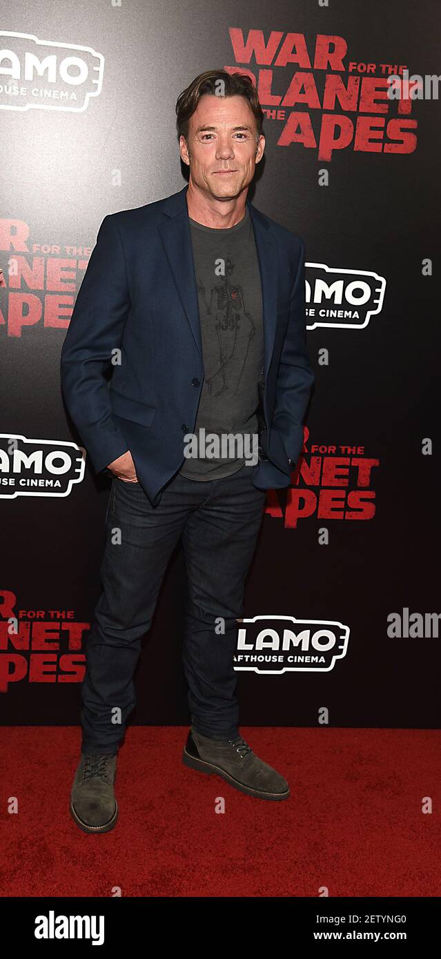 Terry notary apes hi-res stock photography and images - Alamy
