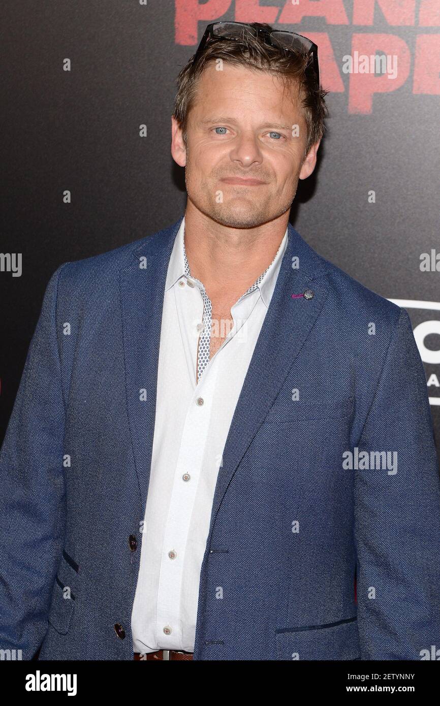 Actor Steve Zahn attends the "War For The Planet Of The Apes" Screening ...