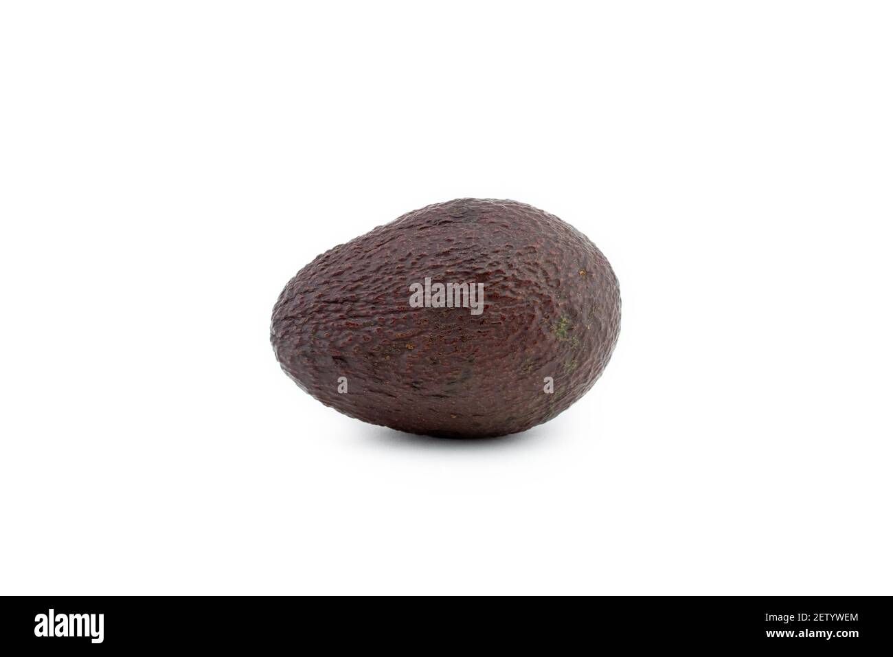 Alligator eating fruit avocado hi-res stock photography and images - Alamy