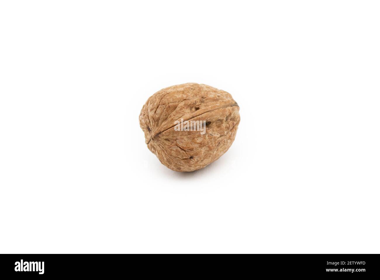 Walnut isolated on white background Stock Photo - Alamy