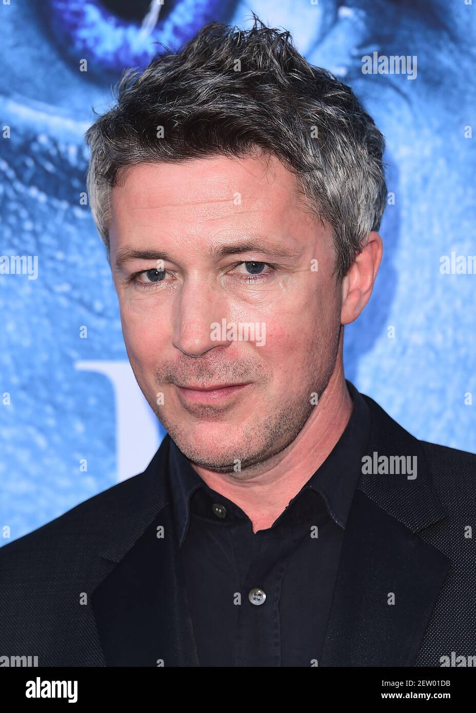 LOS ANGELES, CA - JULY 12: Aiden Gillen at the Los Angeles premiere of ...