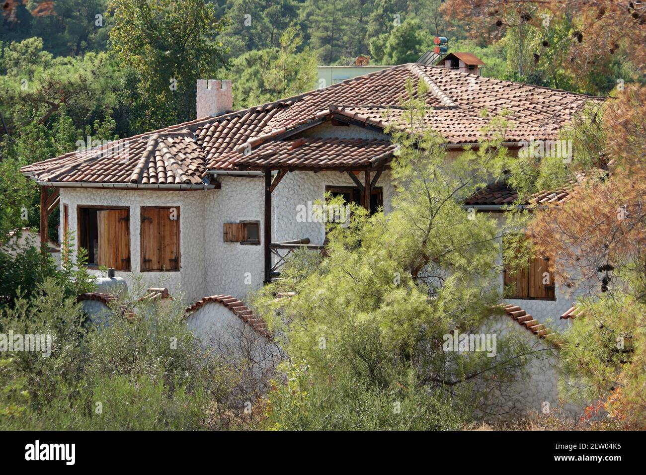 Beautiful modern house in a pine forest Stock Photo - Alamy
