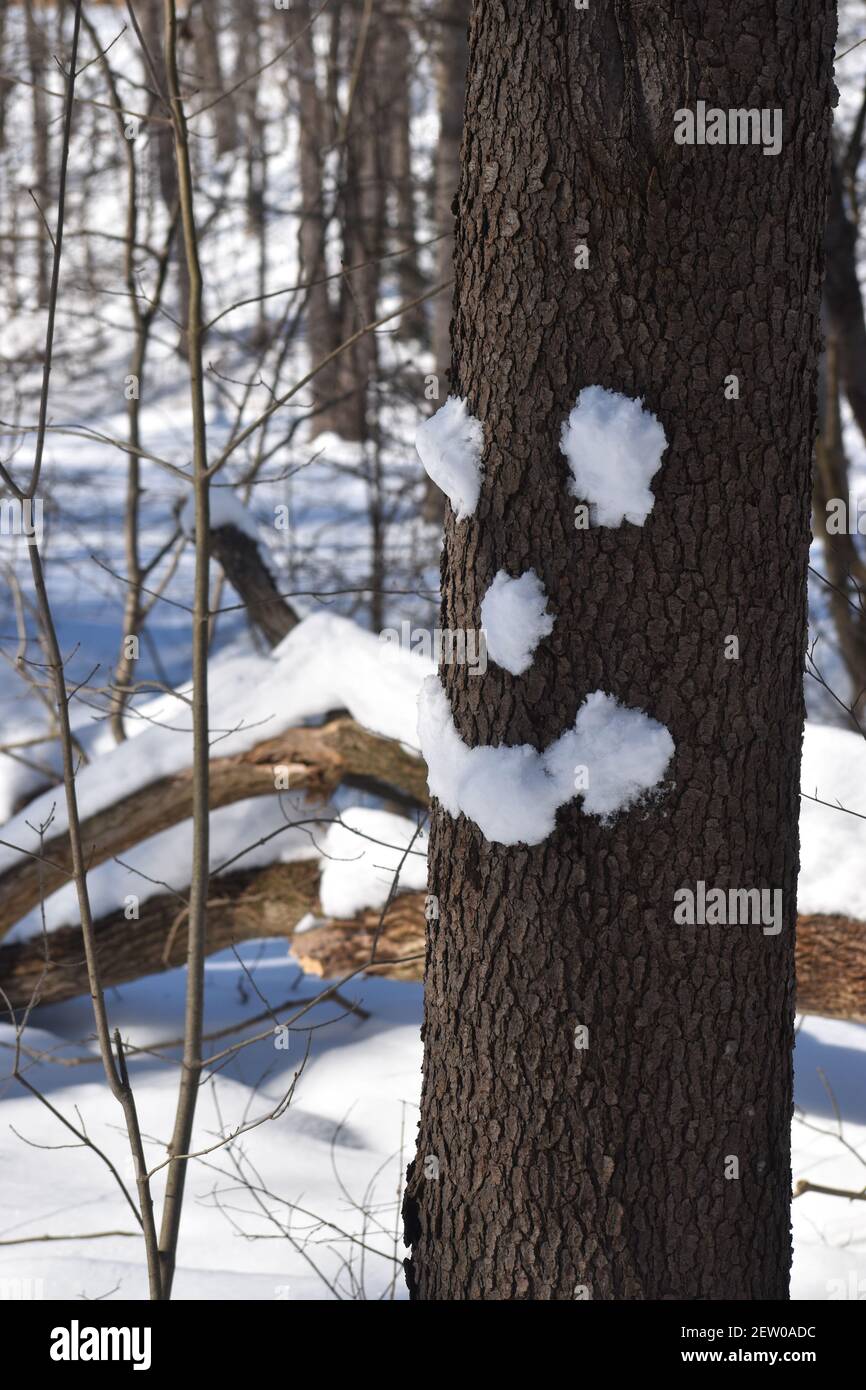 A smiling face made of snow Stock Photo - Alamy