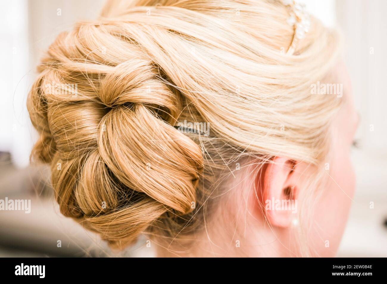 Side Braid Back View