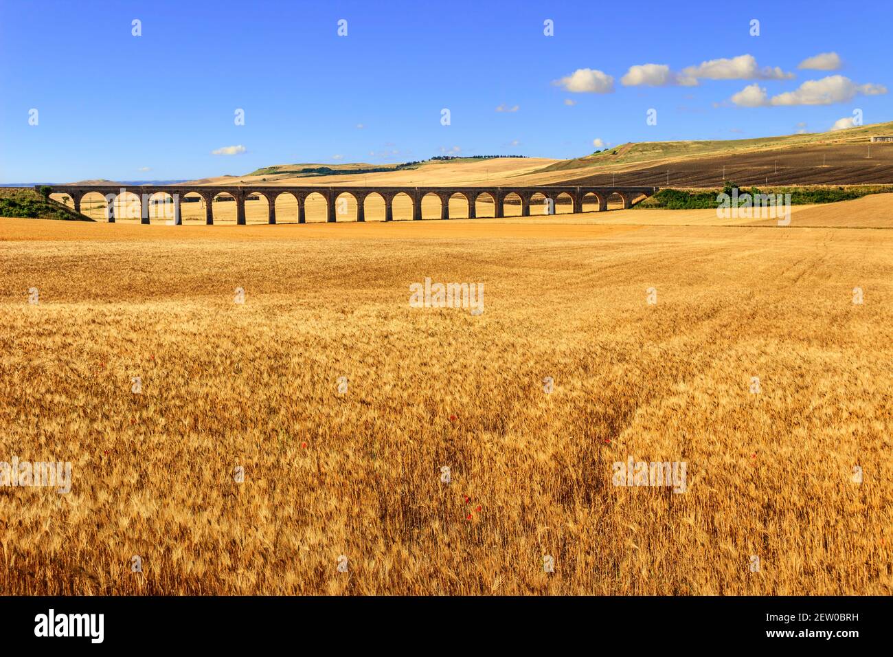 Field railway hi-res stock photography and images - Alamy