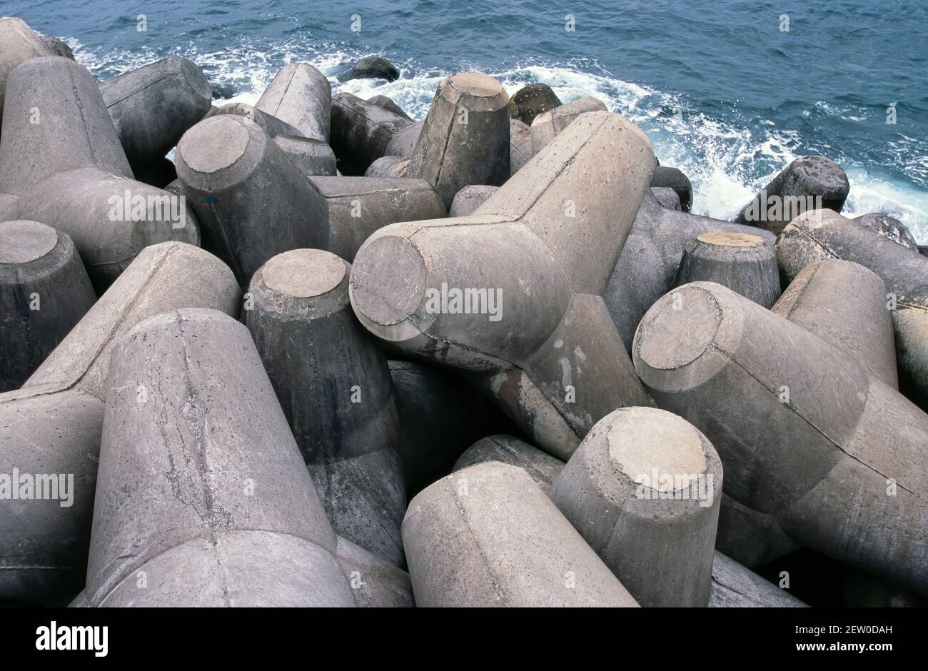 Four Legged Tetrapods High Resolution Stock Photography and Images - Alamy