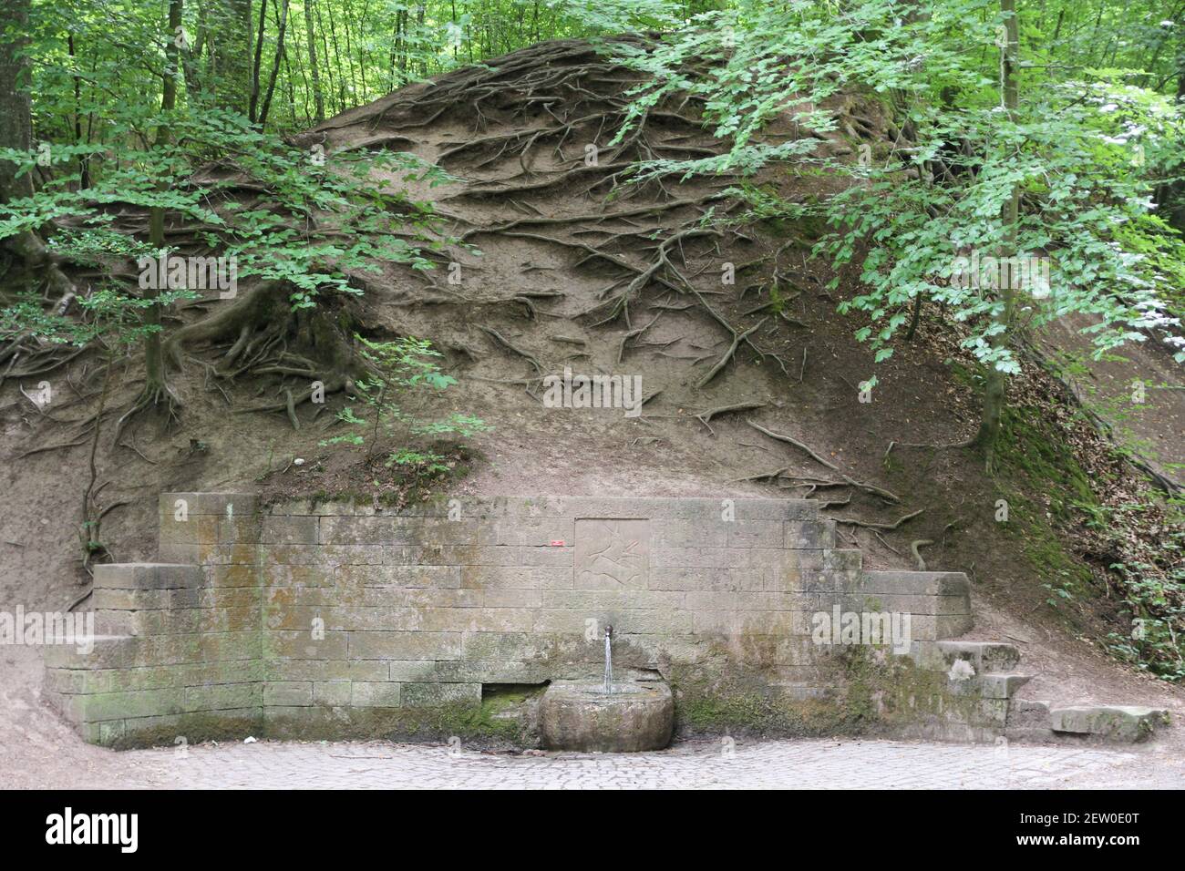 My walk in Switzerland Berner Oberland Interlaken with wonderful trees ...
