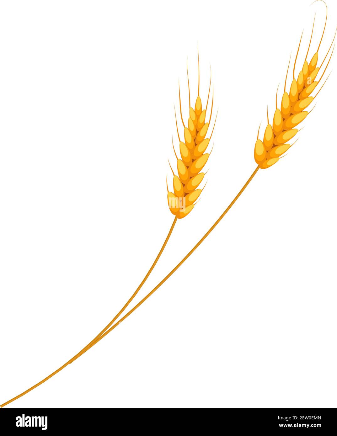 Wheat icon isolated on Stock Vector Images - Alamy