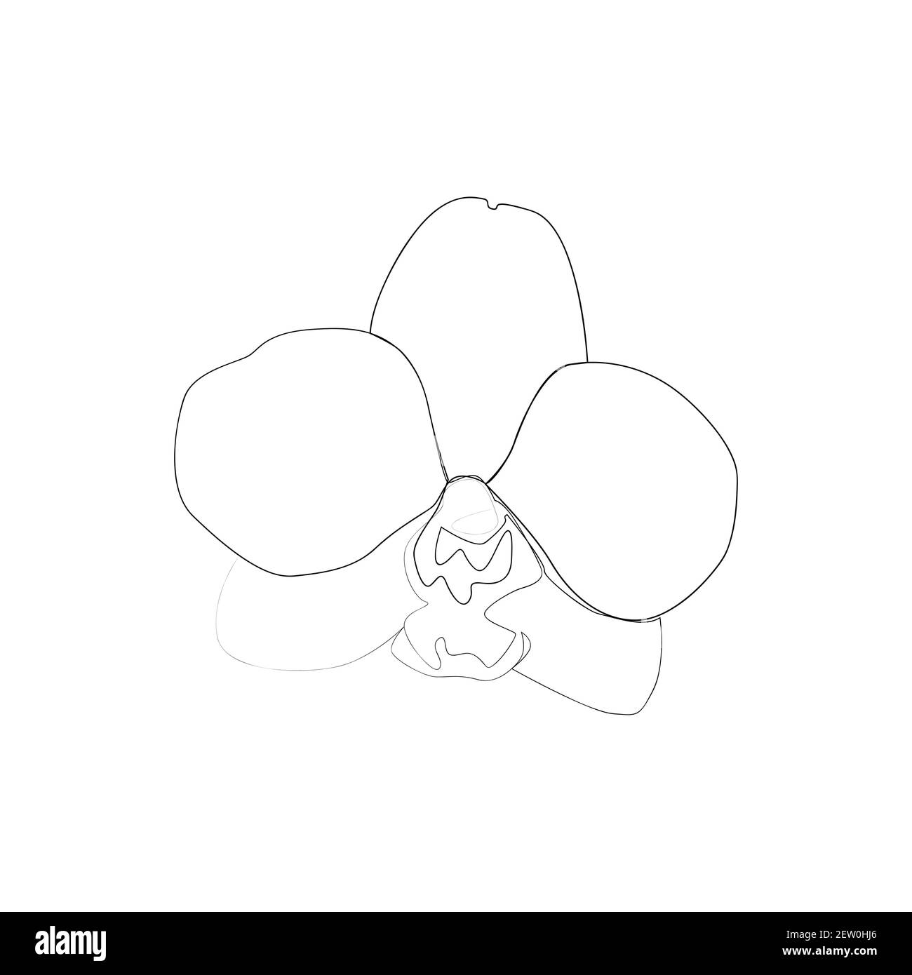 One line flowers continuous Black and White Stock Photos & Images - Alamy