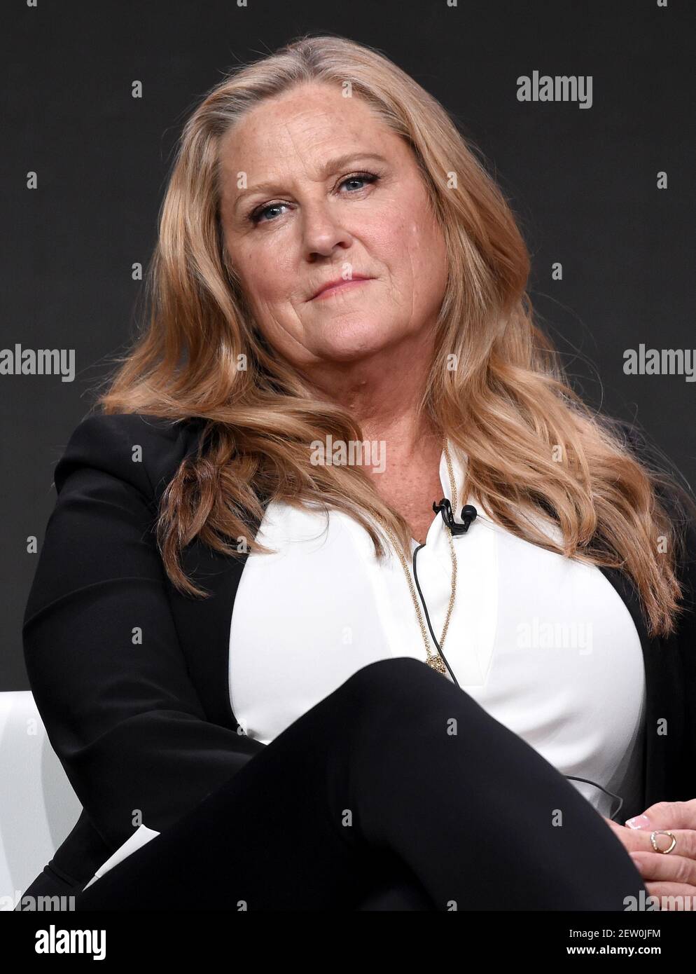 BEVERLY HILLS - JULY 25: Lori McCreary onstage during the panel for ...