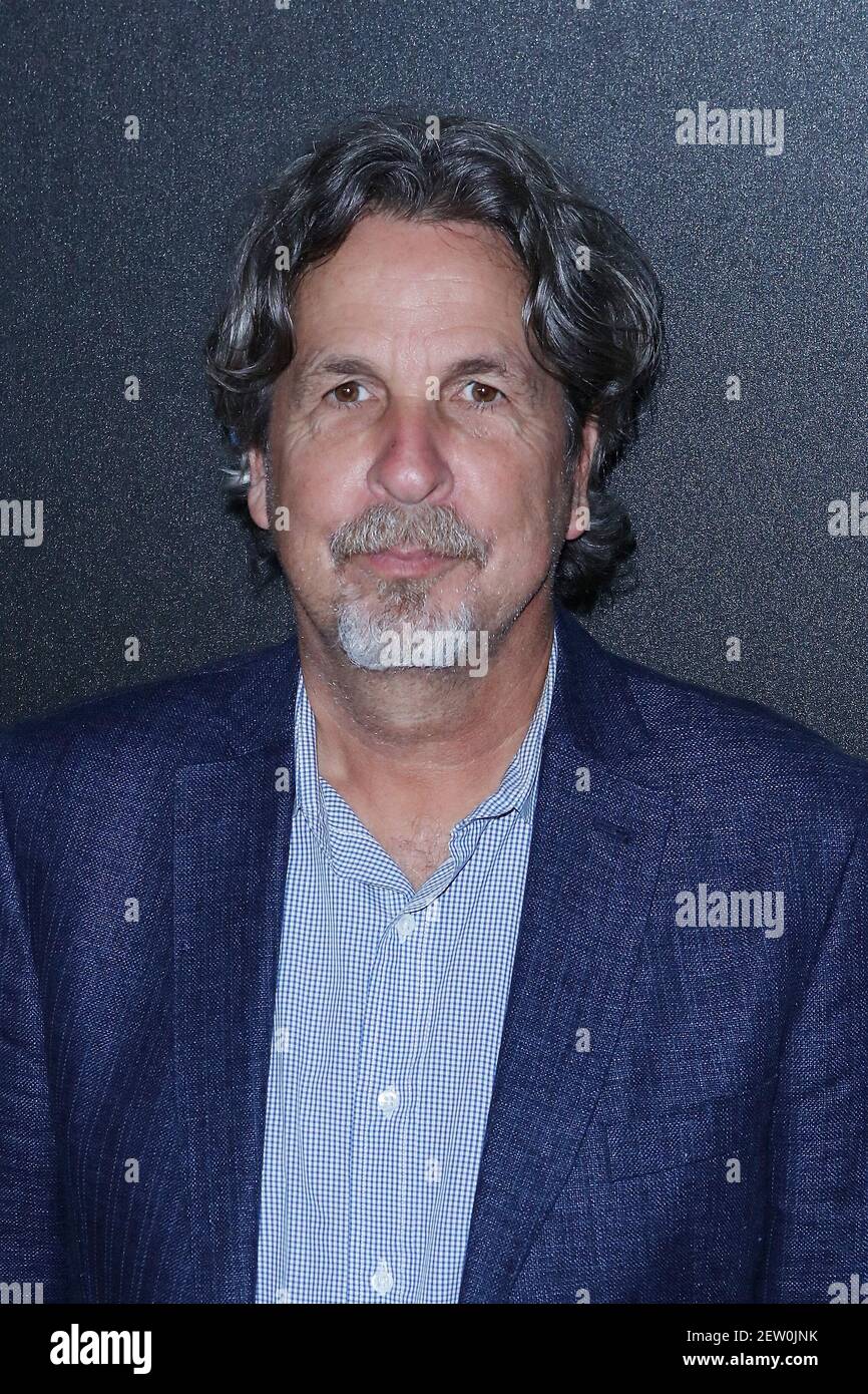Peter Farrelly at the AT&T AUDIENCE Network "Mr. Mercedes" Premiere ...