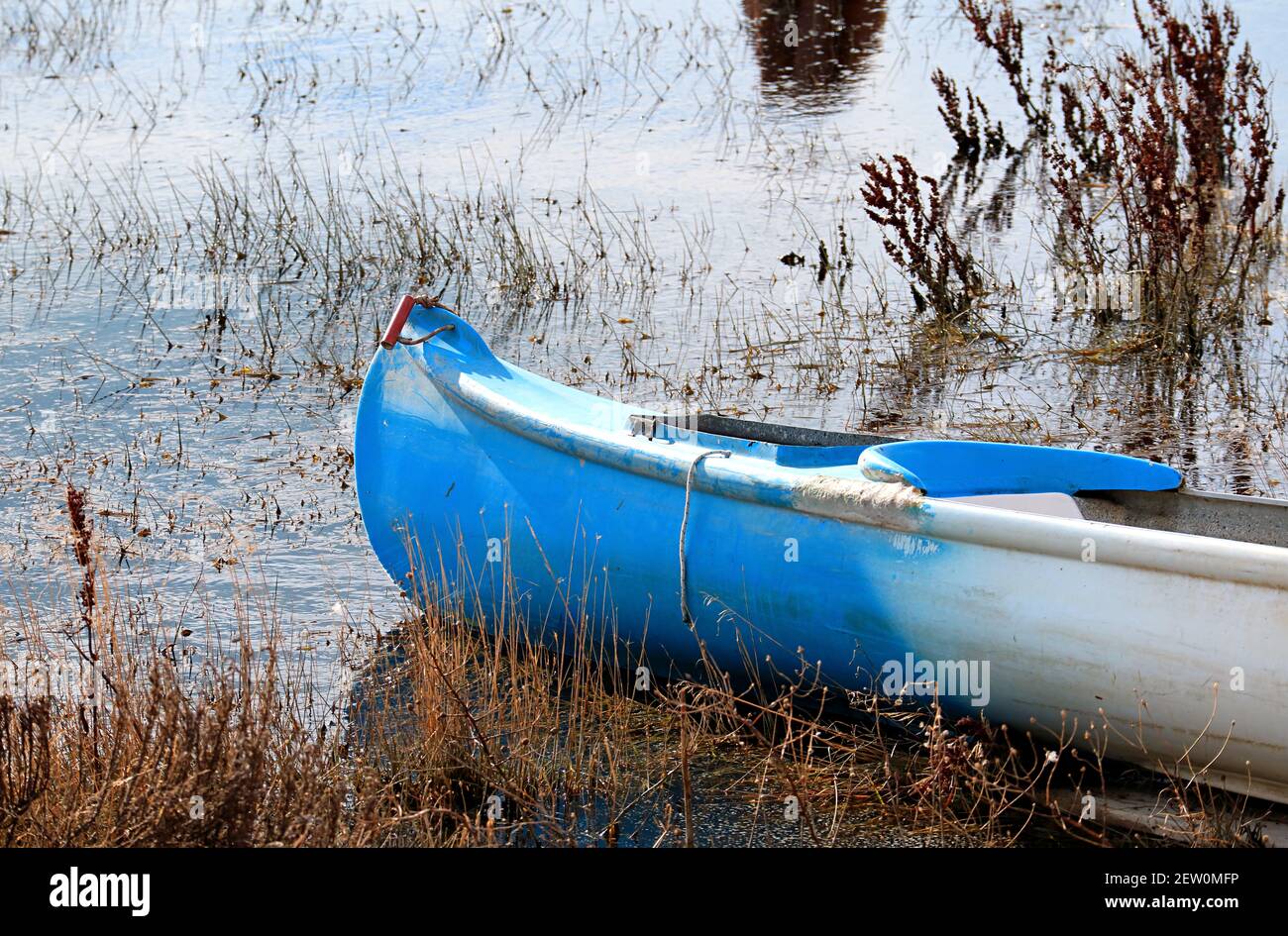 Blue and White Rowboat on the Lake Stock Photo - Alamy