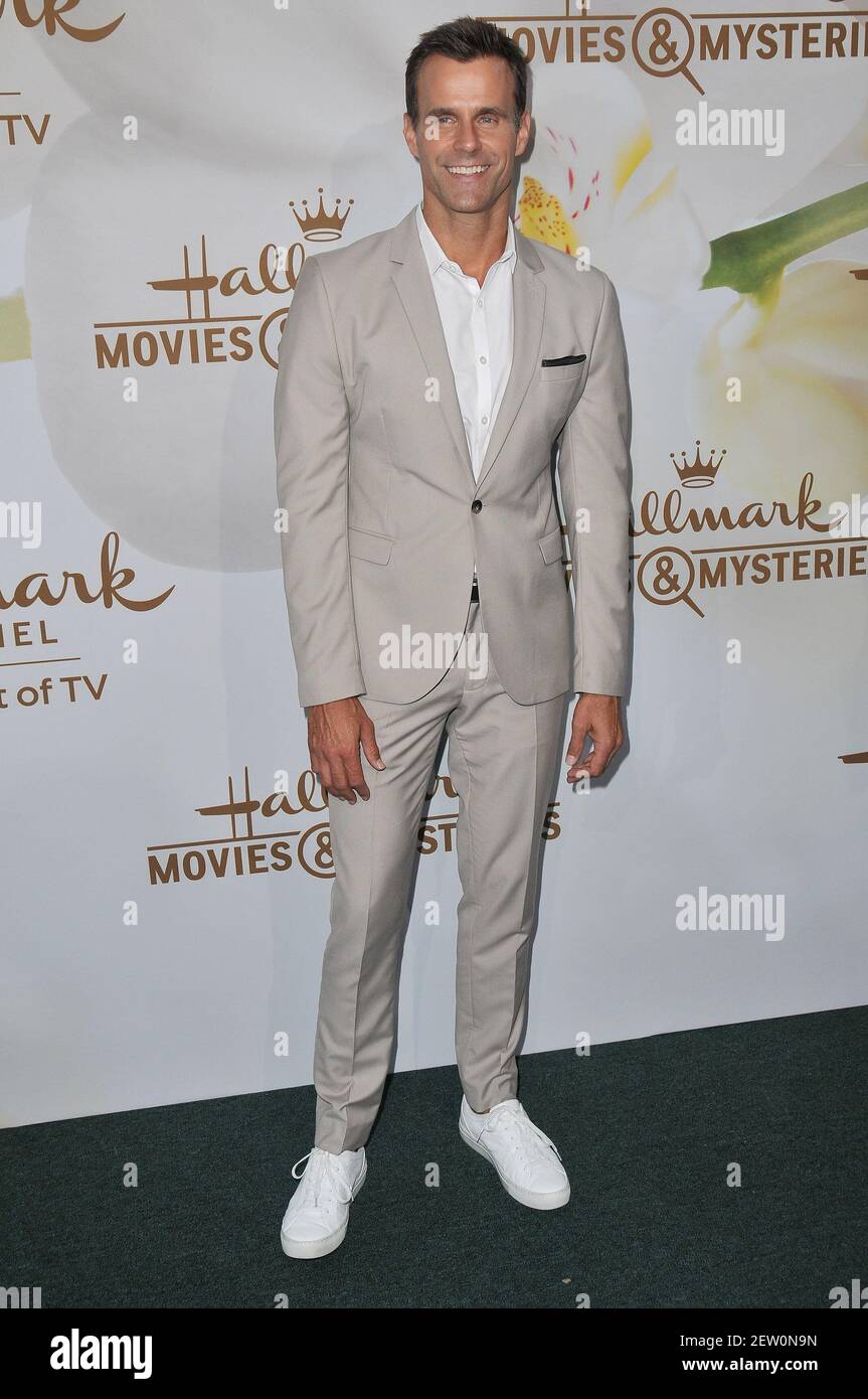 Cameron Mathison arrives at the Hallmark Channel & Hallmark Movies and ...