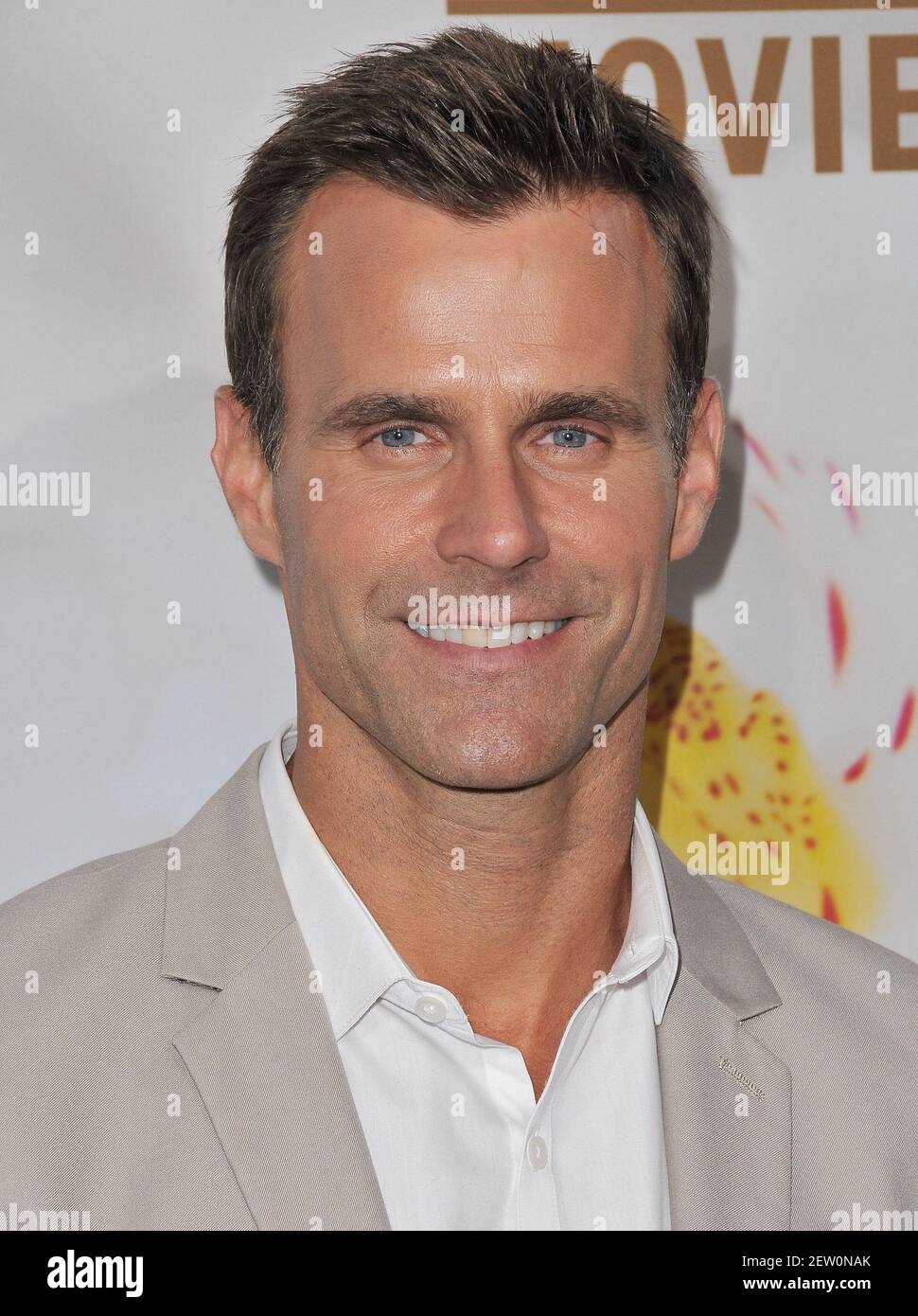 Cameron Mathison arrives at the Hallmark Channel & Hallmark Movies and ...