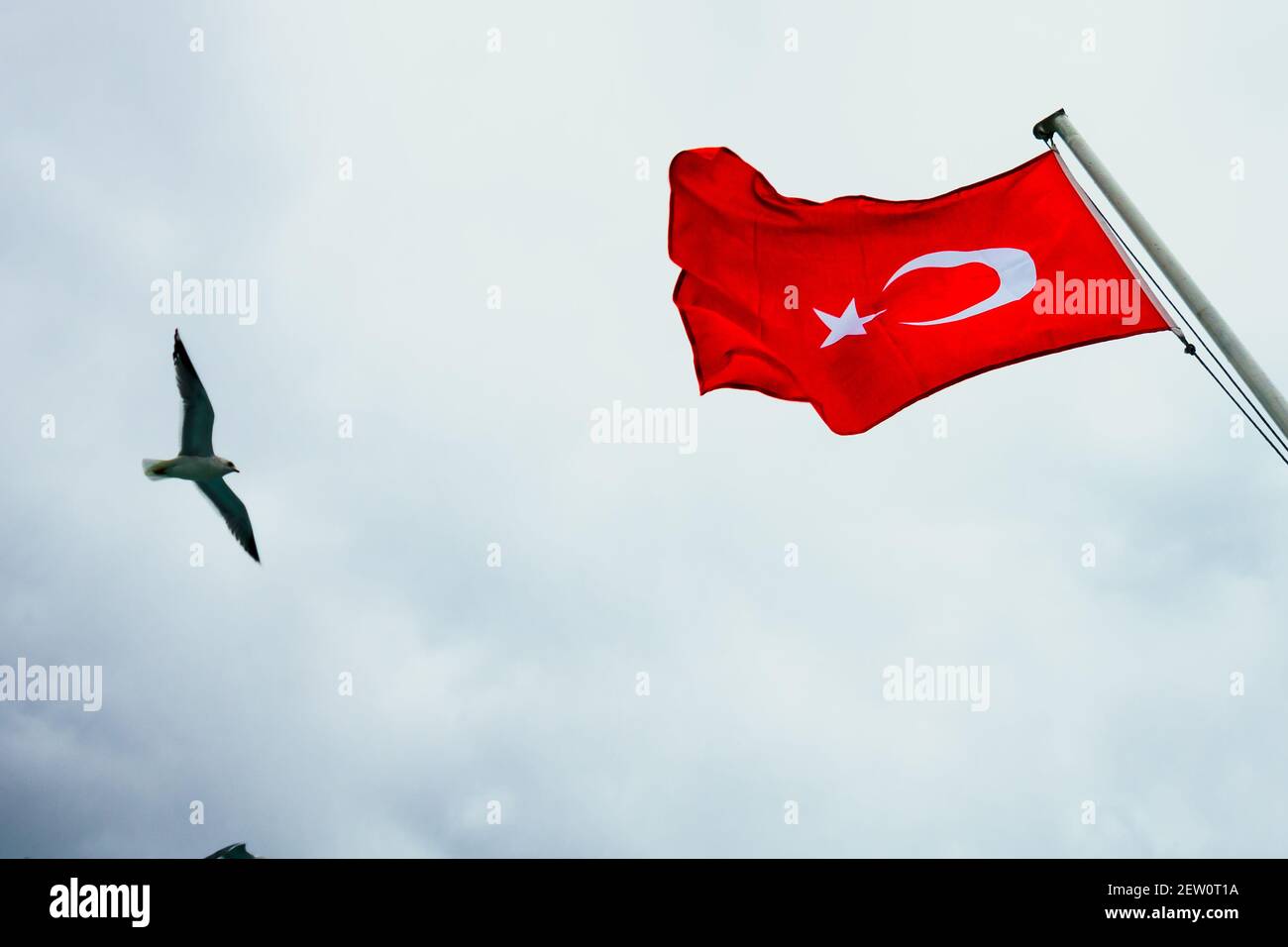 Flag of Turkey and Seagulls Stock Photo - Alamy