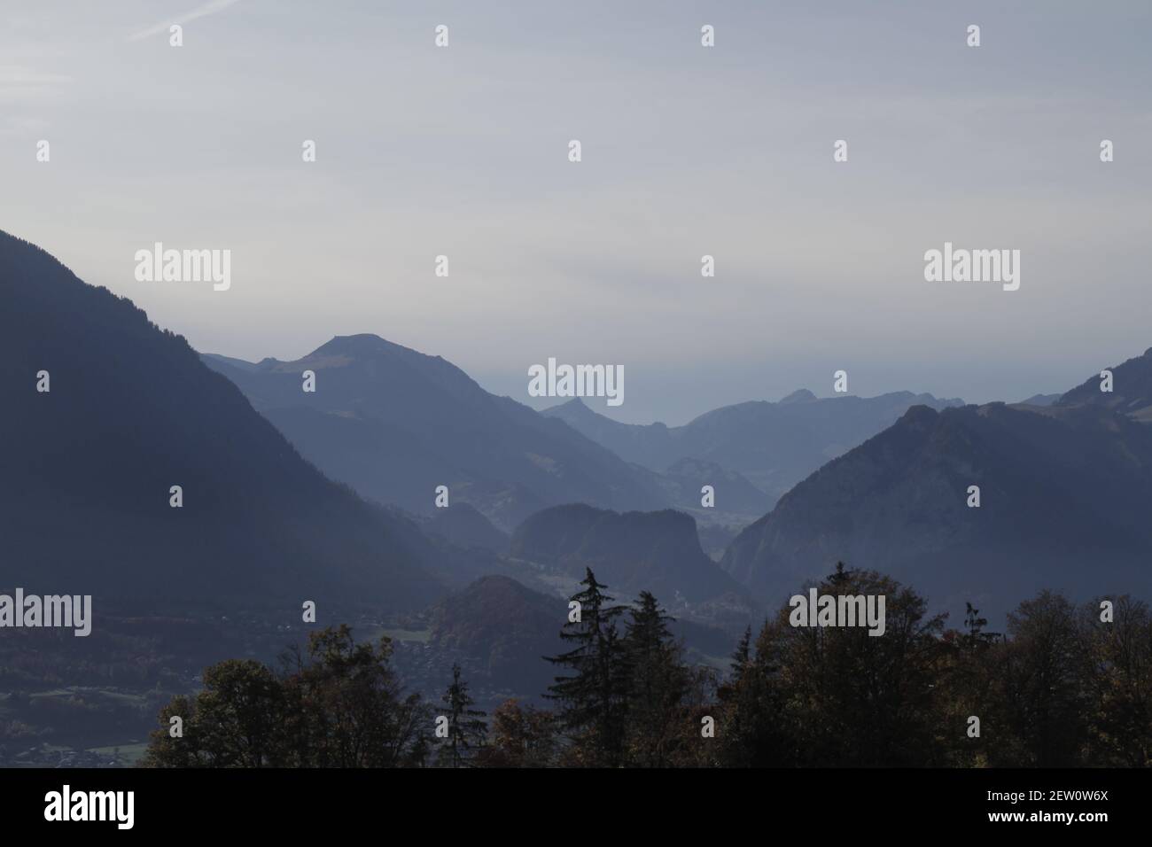 My walk in Switzerland Berner Oberland Interlaken with wonderful trees ...