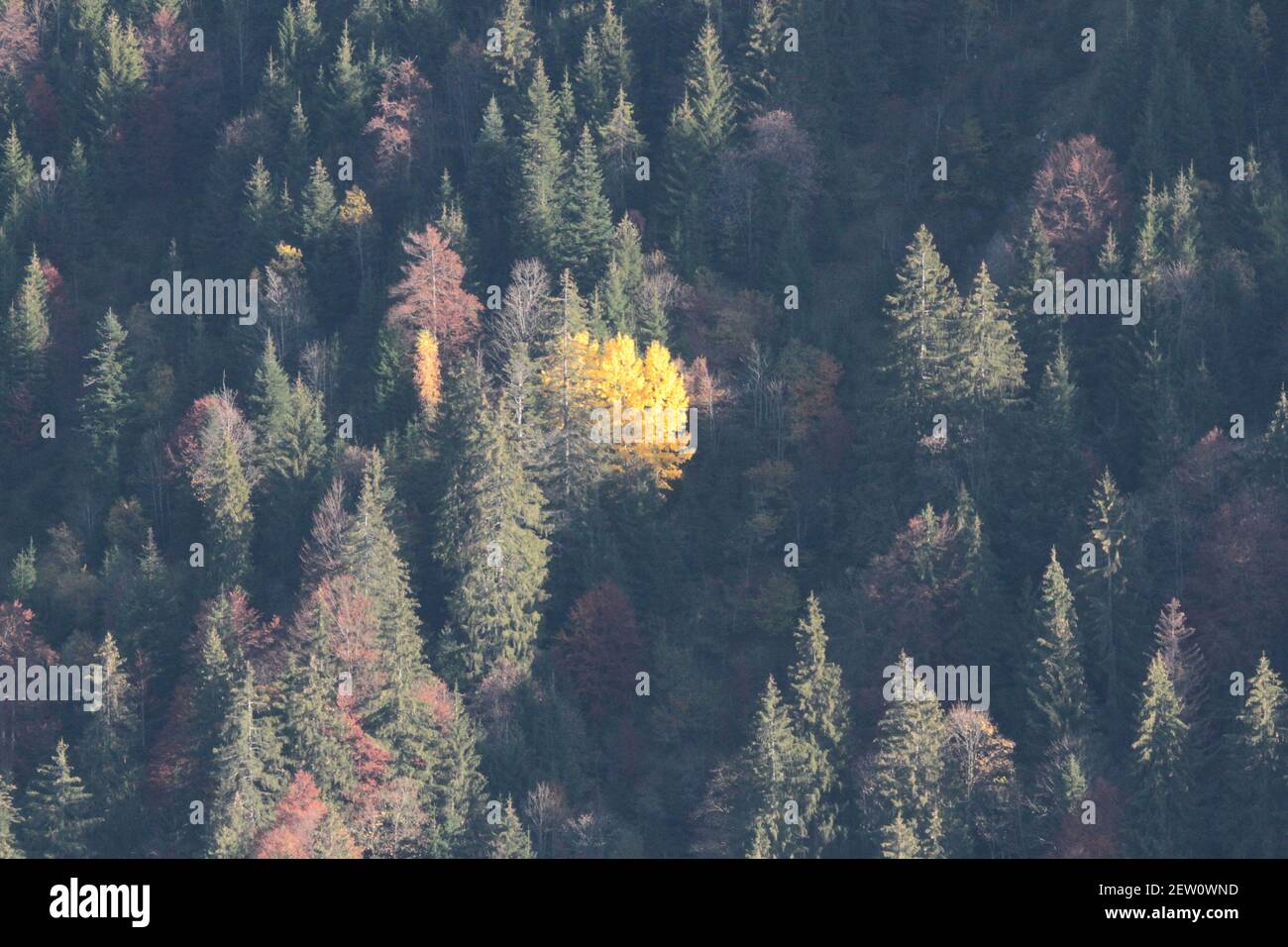 My walk in Bern Switzerland Wonderful Landscape for Book design ...