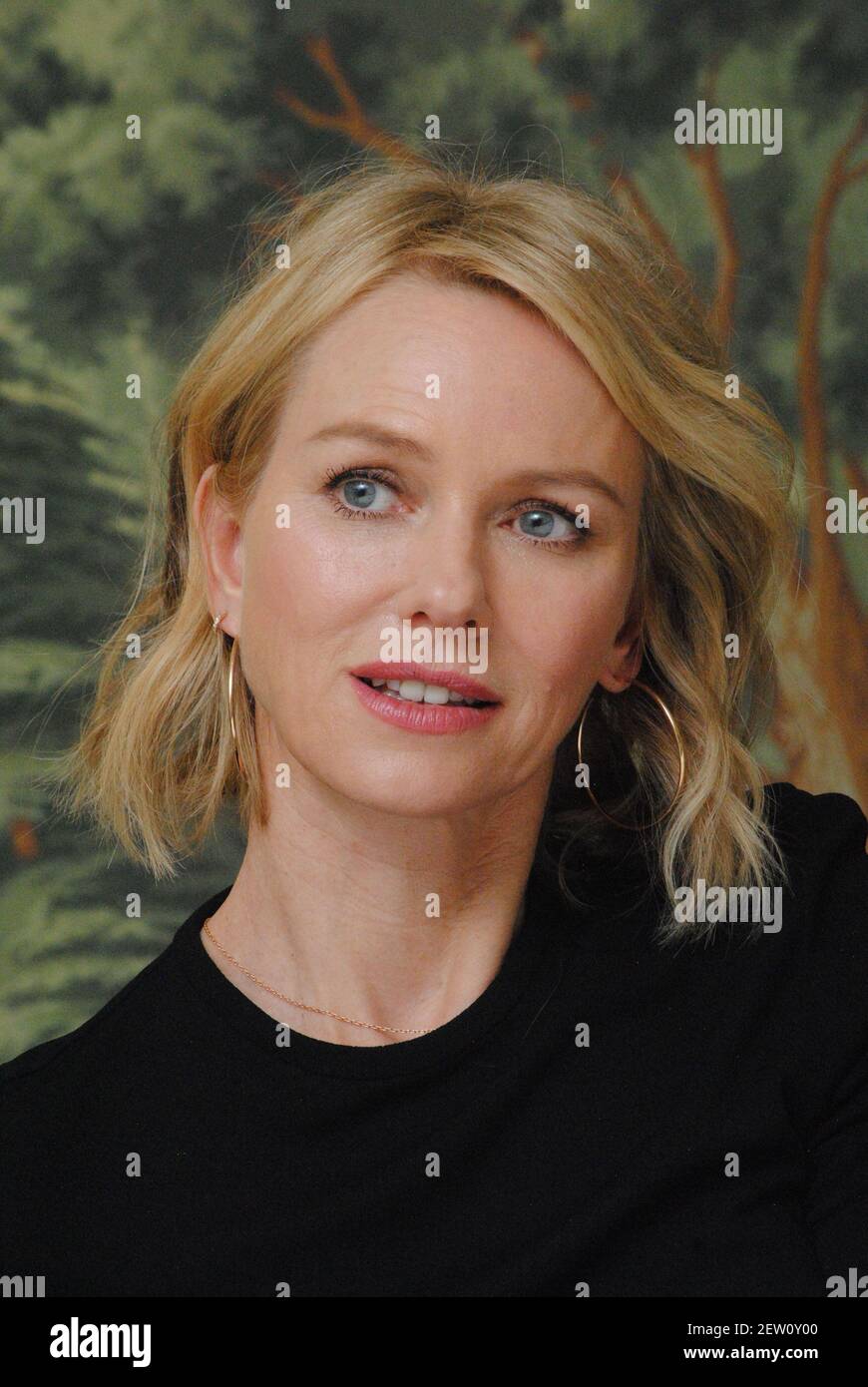 Naomi Watts at the Hollywood Foreign Press Association press conference ...