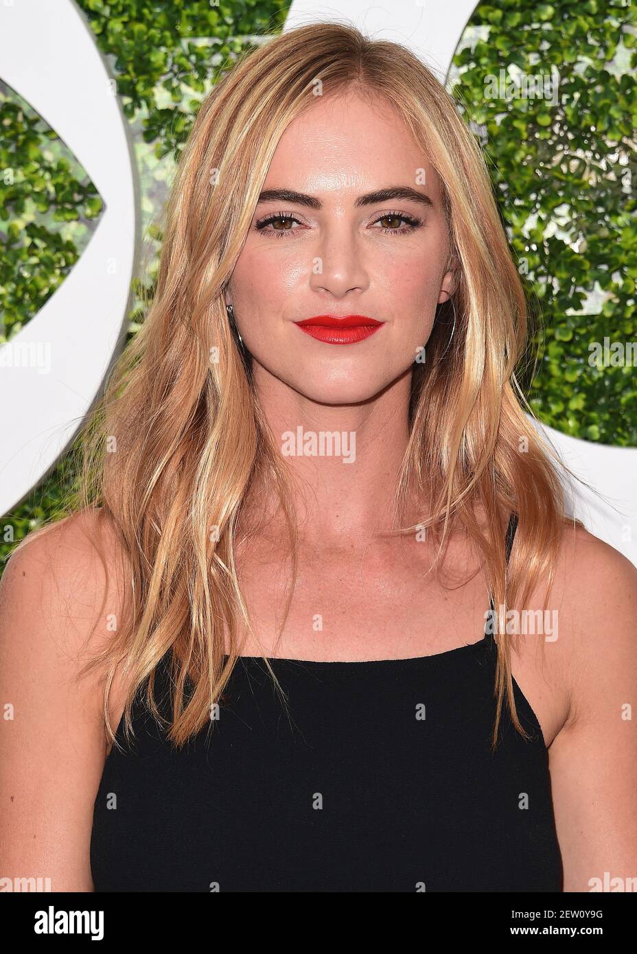 STUDIO CITY, CA - AUGUST 1: Emily Wickersham at the CBS 2017 Summer ...