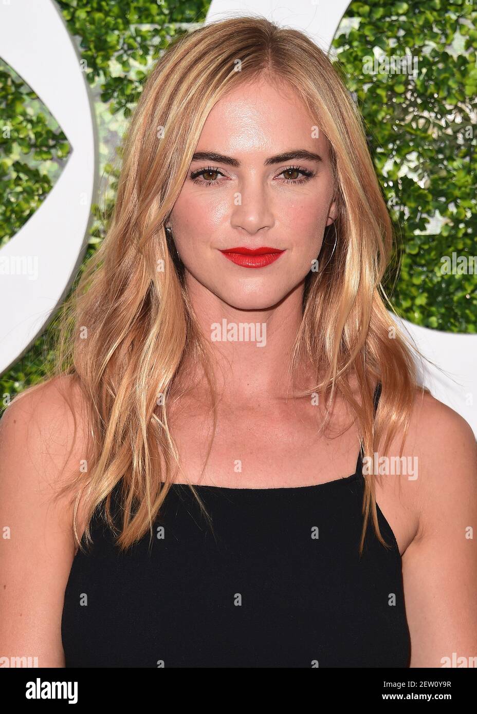 STUDIO CITY, CA - AUGUST 1: Emily Wickersham at the CBS 2017 Summer ...