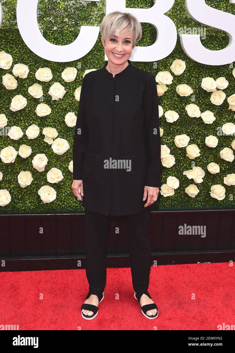 STUDIO CITY, CA - AUGUST 1: Annie Potts at the CBS 2017 Summer Soiree ...
