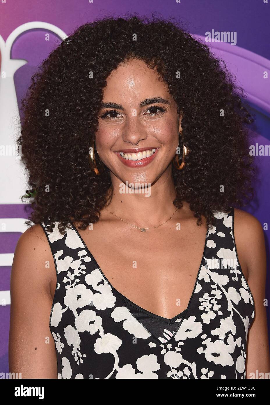 BEVERLY HILLS, CA - AUGUST 3: Parisa Fitz-Henley at the NBC 2017 Summer ...