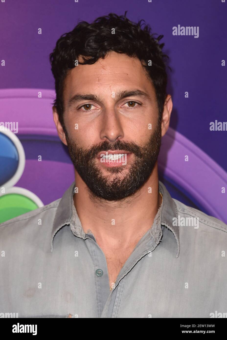 BEVERLY HILLS, CA - AUGUST 3: Tate Ellington at the NBC 2017 Summer ...