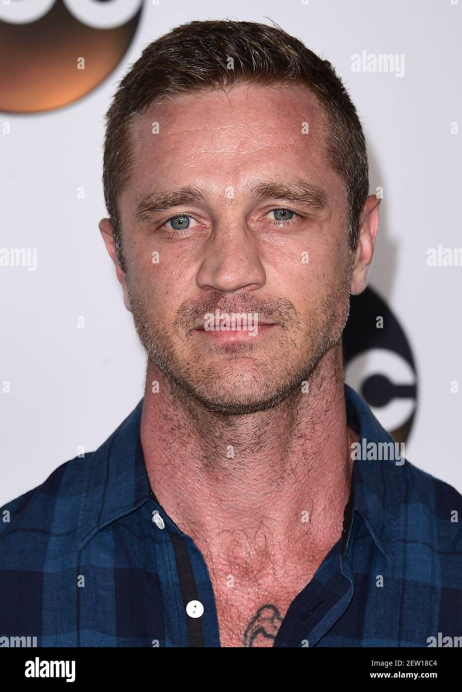 BEVERLY HILLS, CA - AUGUST 6: Devon Sawa at the Disney ABC 2017 Summer ...