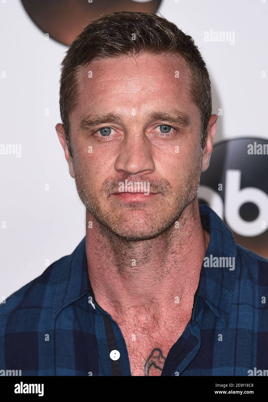 BEVERLY HILLS, CA - AUGUST 6: Devon Sawa at the Disney ABC 2017 Summer ...