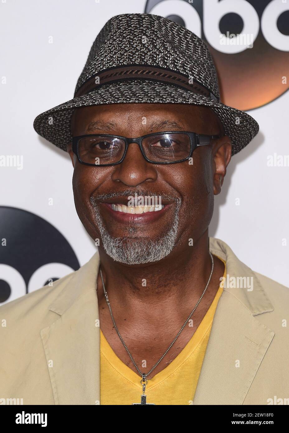 BEVERLY HILLS, CA - AUGUST 6: James Pickens, Jr. at the Disney ABC 2017 ...