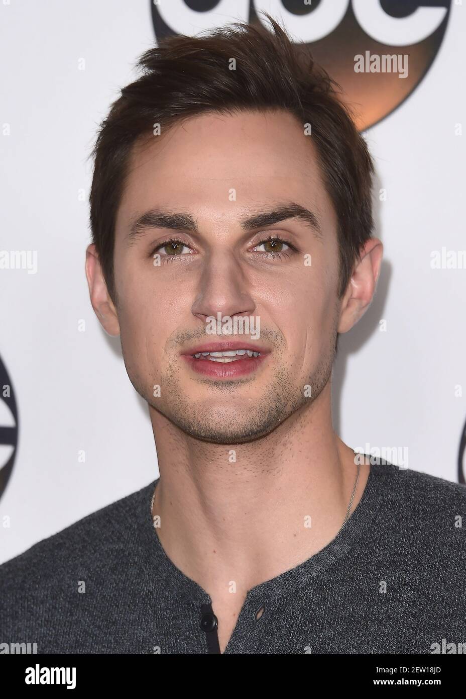 BEVERLY HILLS, CA - AUGUST 6: Andrew J. West at the Disney ABC 2017 ...