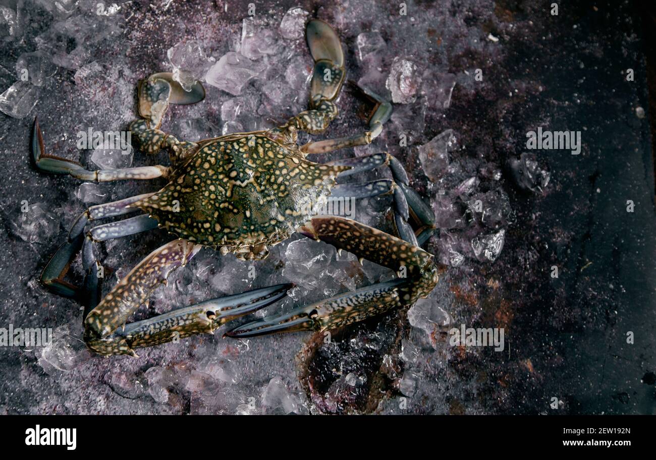 Frozen blue crab hi-res stock photography and images - Alamy