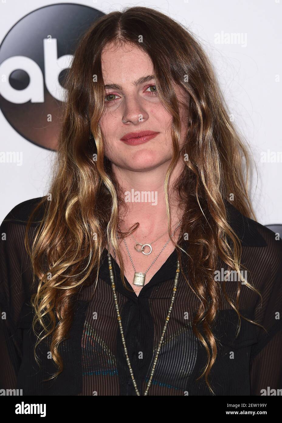 BEVERLY HILLS, CA - AUGUST 6: Willow Anwar at the Disney ABC 2017 ...