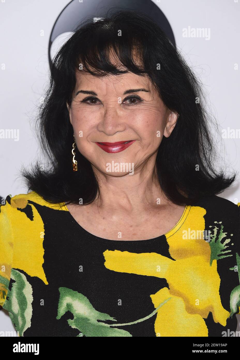 BEVERLY HILLS, CA - AUGUST 6: Yun Lingner at the Disney ABC 2017 Summer ...