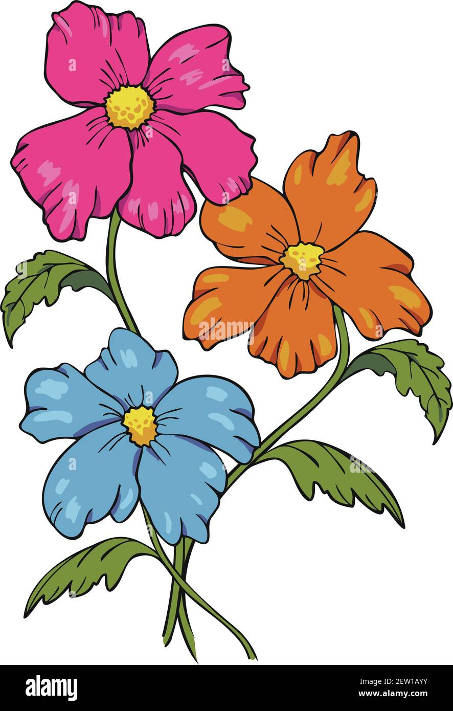 Perennial summer flowers Stock Vector Images - Alamy